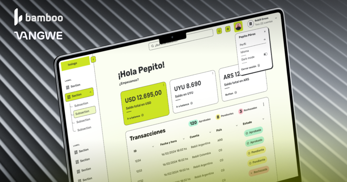 Bamboo Payment Systems Success case | Cross-Border Payment Solutions